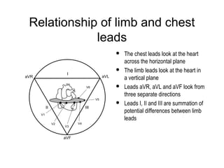 ECG leads | PPT