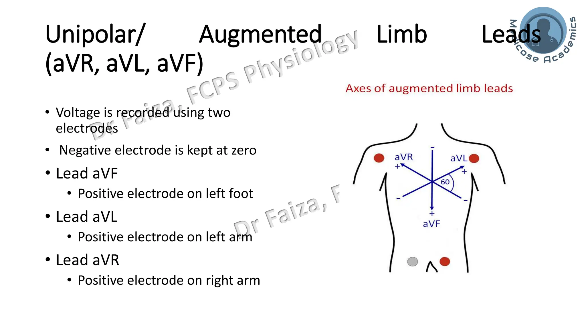Electrocardiogram (ECG) physiological basis .pdf