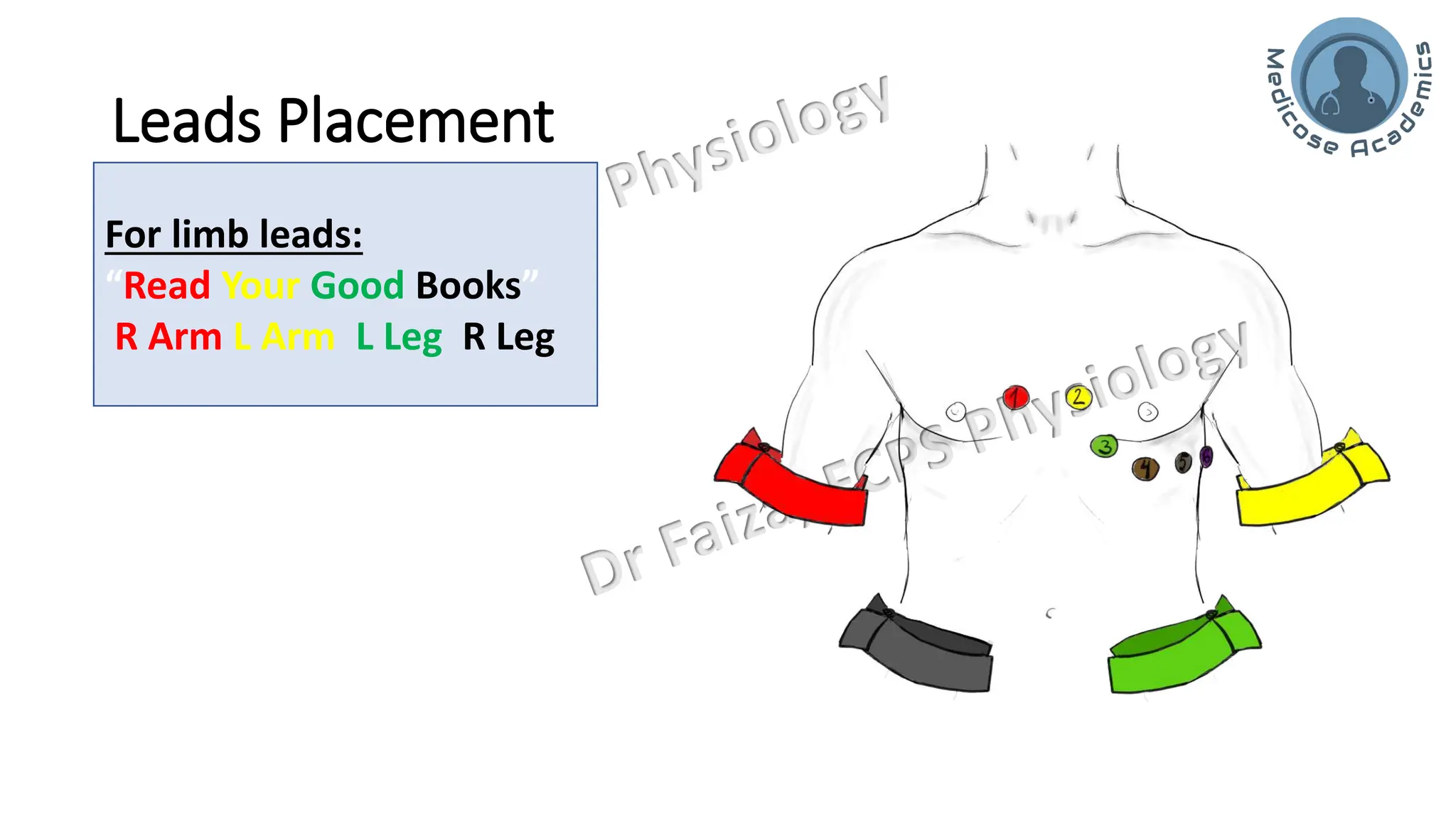 Electrocardiogram (ECG) physiological basis .pdf