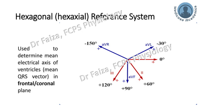 Electrocardiogram (ECG) physiological basis .pdf