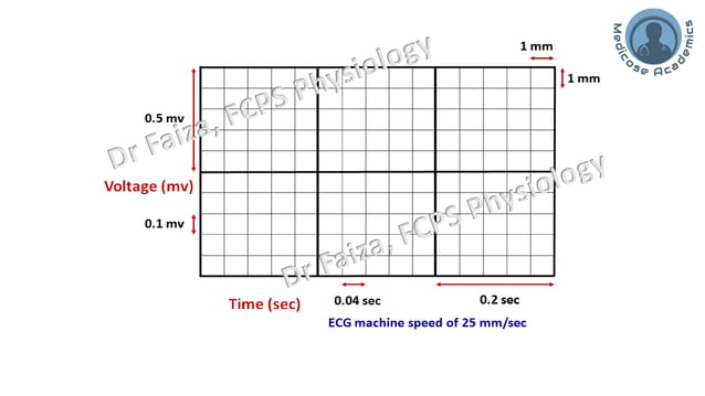 Electrocardiogram (ECG) physiological basis .pdf