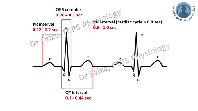 Electrocardiogram (ECG) physiological basis .pdf