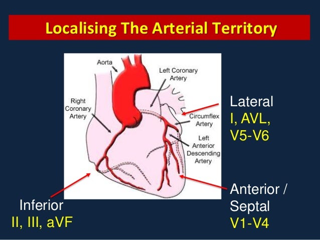 Myocardial Ischemia and Infarction