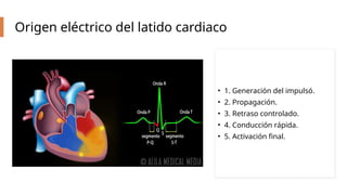 ECG - Presentacion de componentes de ECG.pptx