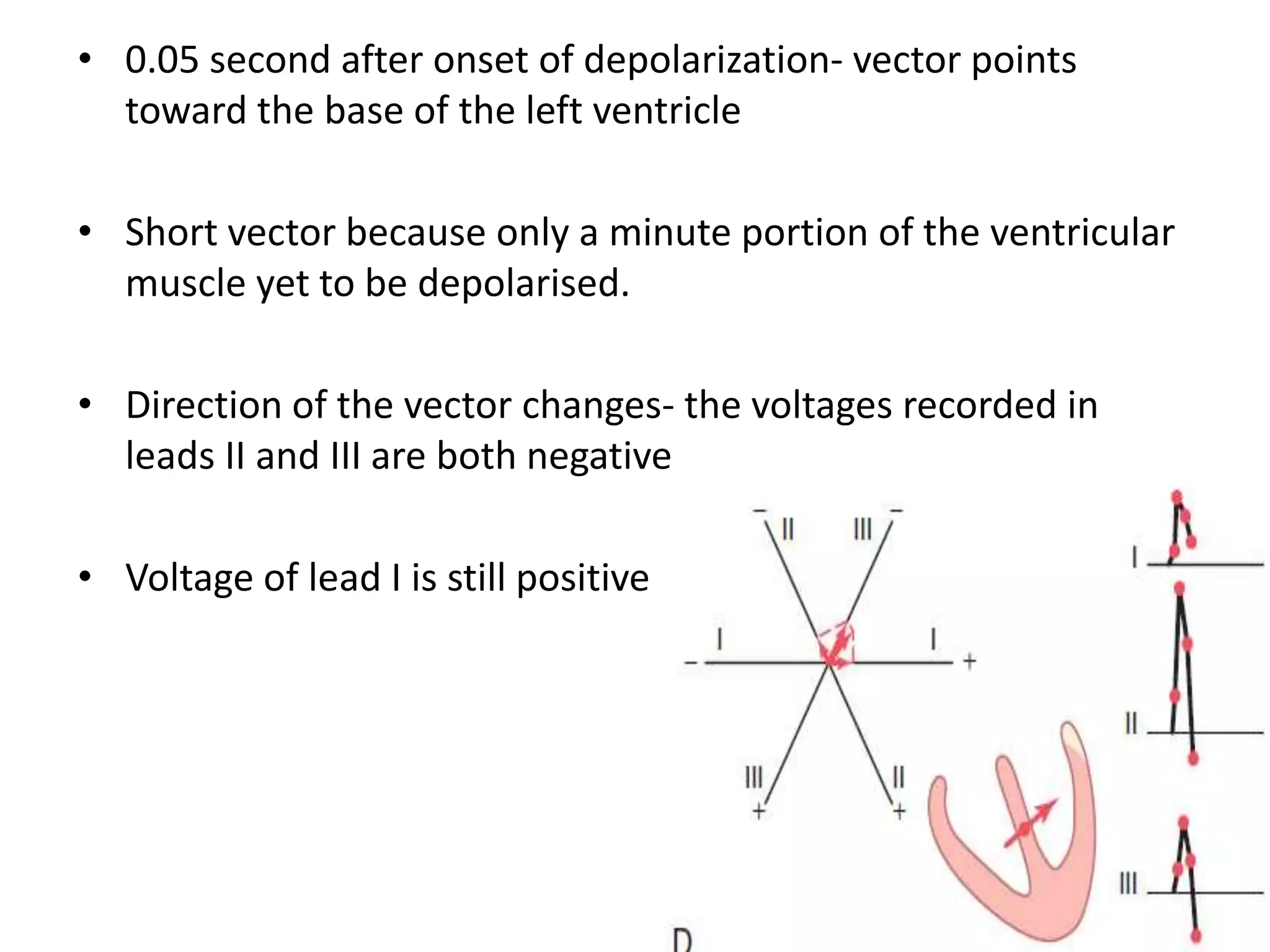 Ecg- Vector Analysis | PPTX