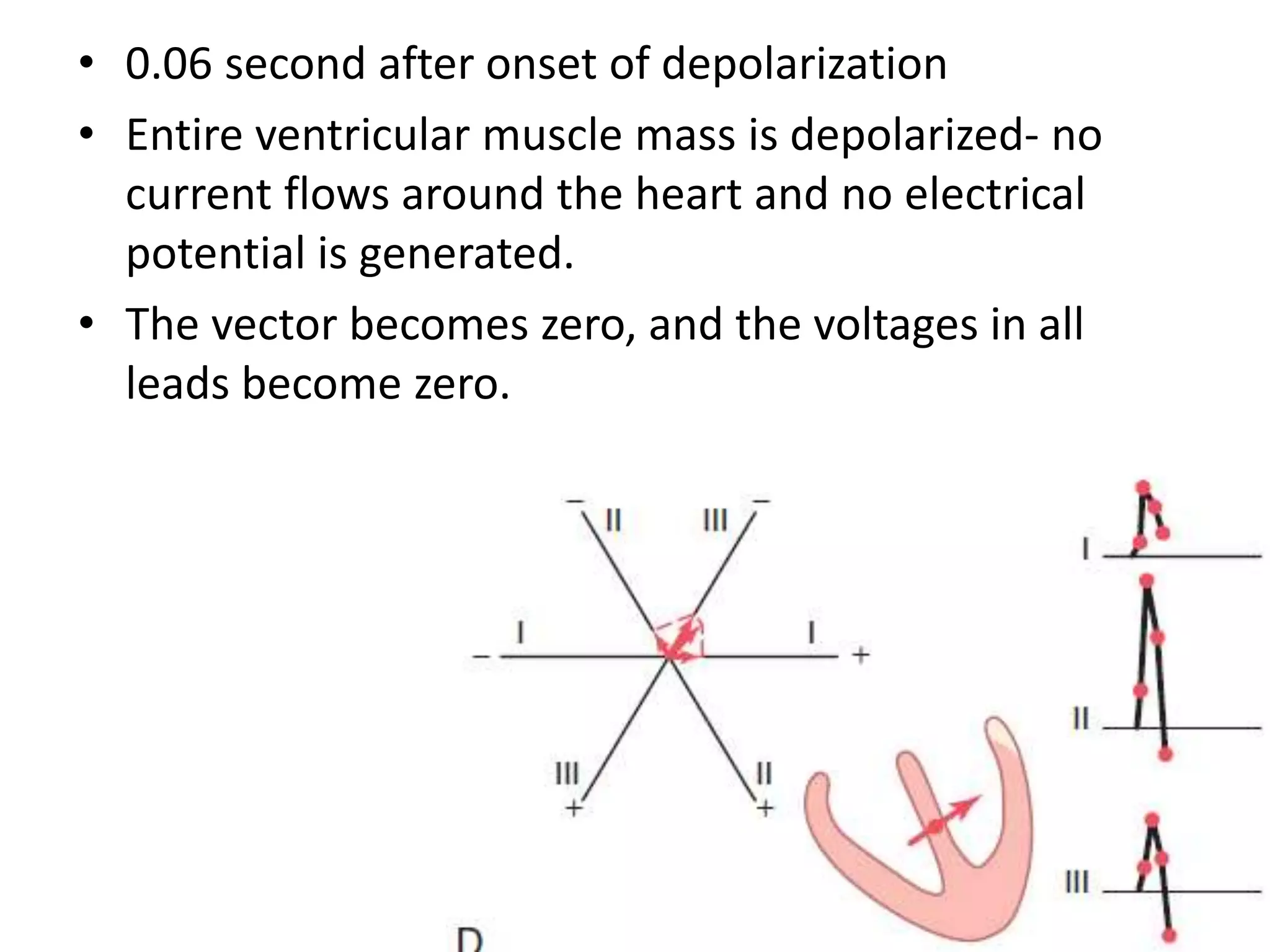 Ecg- Vector Analysis | PPTX