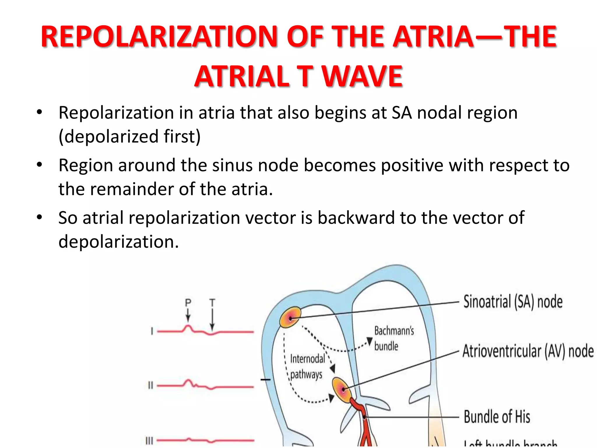 Ecg- Vector Analysis | PPTX