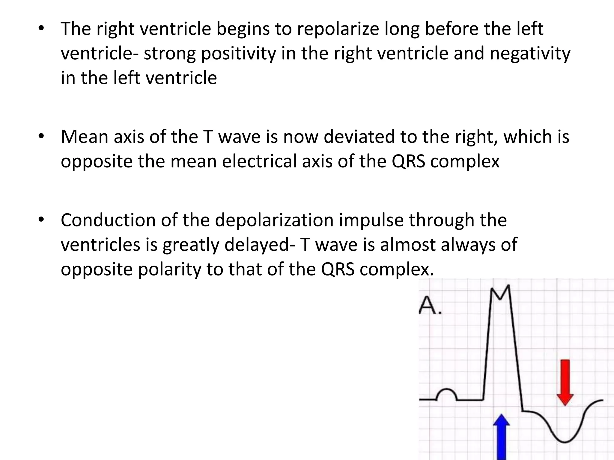 Ecg- Vector Analysis | PPTX