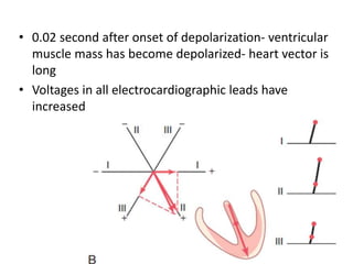 Ecg- Vector Analysis | PPTX