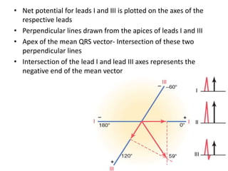 Ecg- Vector Analysis | PPTX