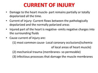 Ecg- Vector Analysis | PPTX