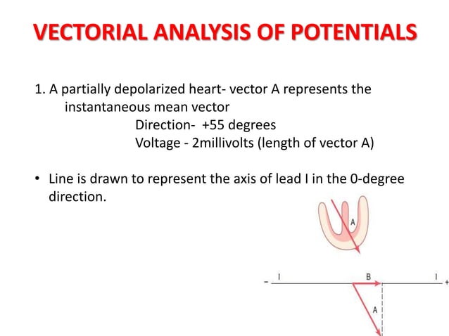 Ecg- Vector Analysis | PPTX