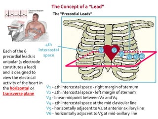 Electrocardiography | PPTX