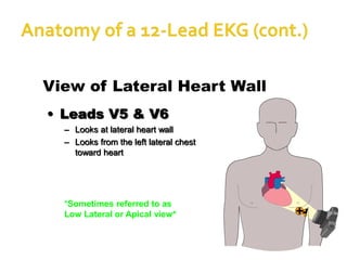 Electrocardiography | PPTX