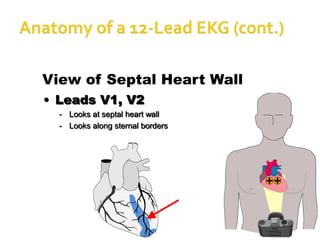 Electrocardiography | PPTX