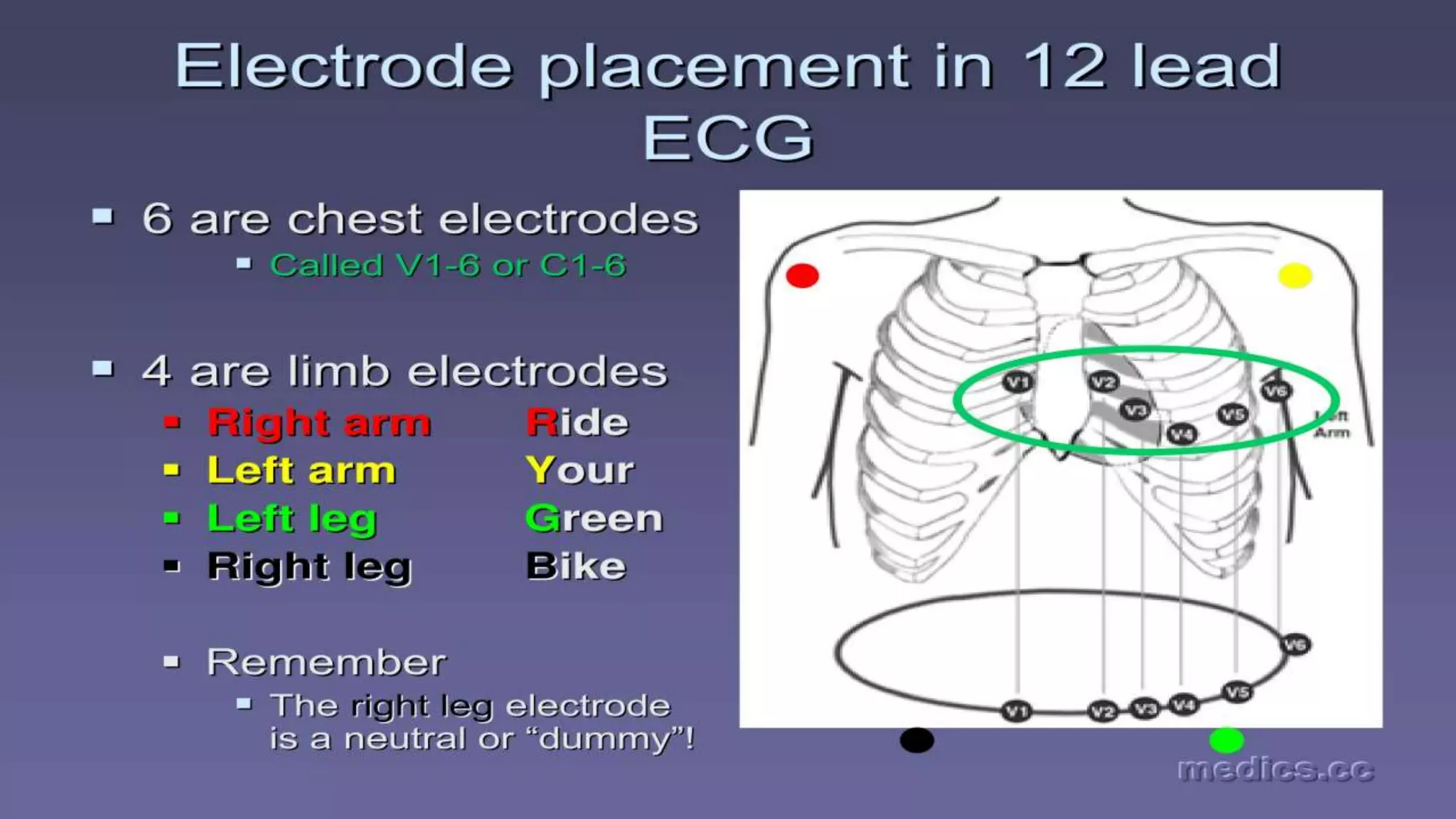 Ecg & 12 lead ecg | PPTX
