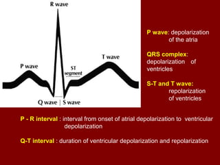 ECG A 2019 | PPT