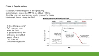 ECG principles Acute coronary syndrome.pptx