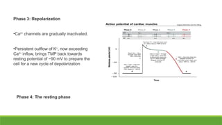 ECG principles Acute coronary syndrome.pptx