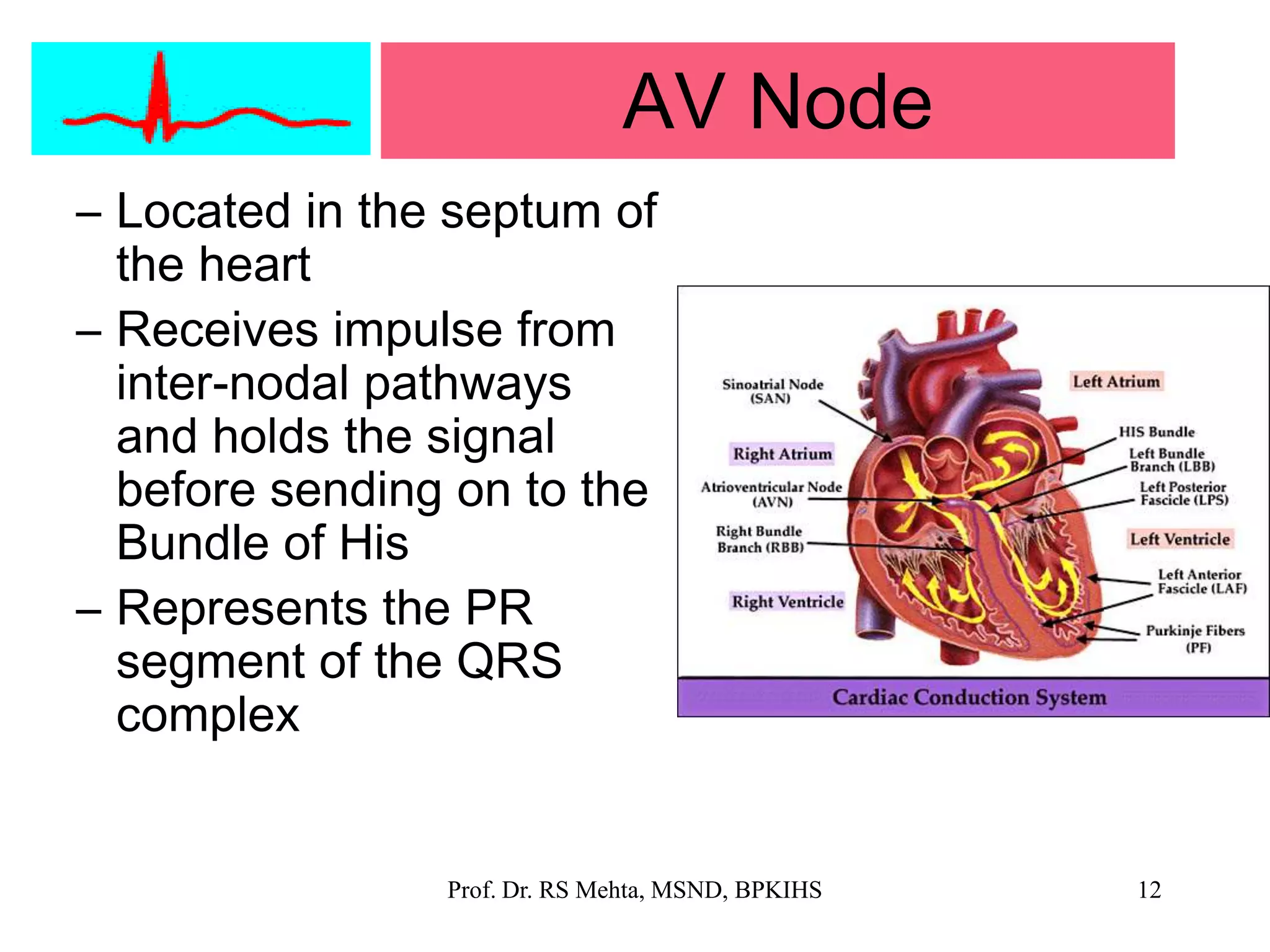 Ecg & arrhythmias | PPSX