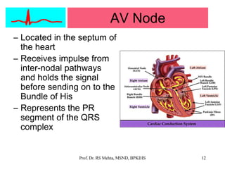 Ecg & arrhythmias | PPSX