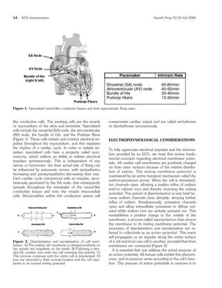 Ecg article | PDF