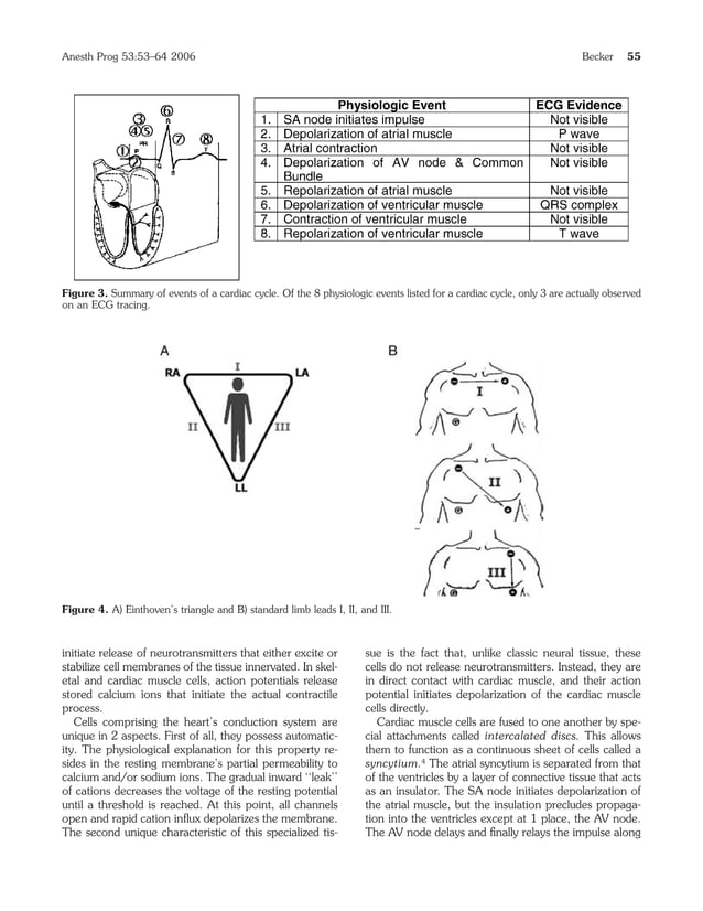 Ecg article | PDF
