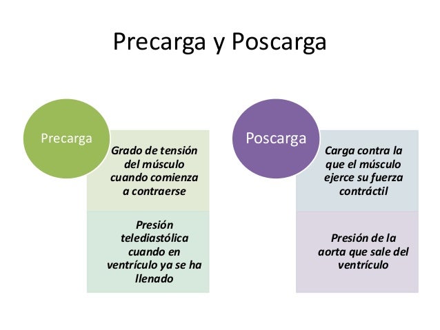 Fisiología cardíaca y ECG