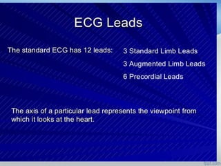 BASICS OF ECG | PPT