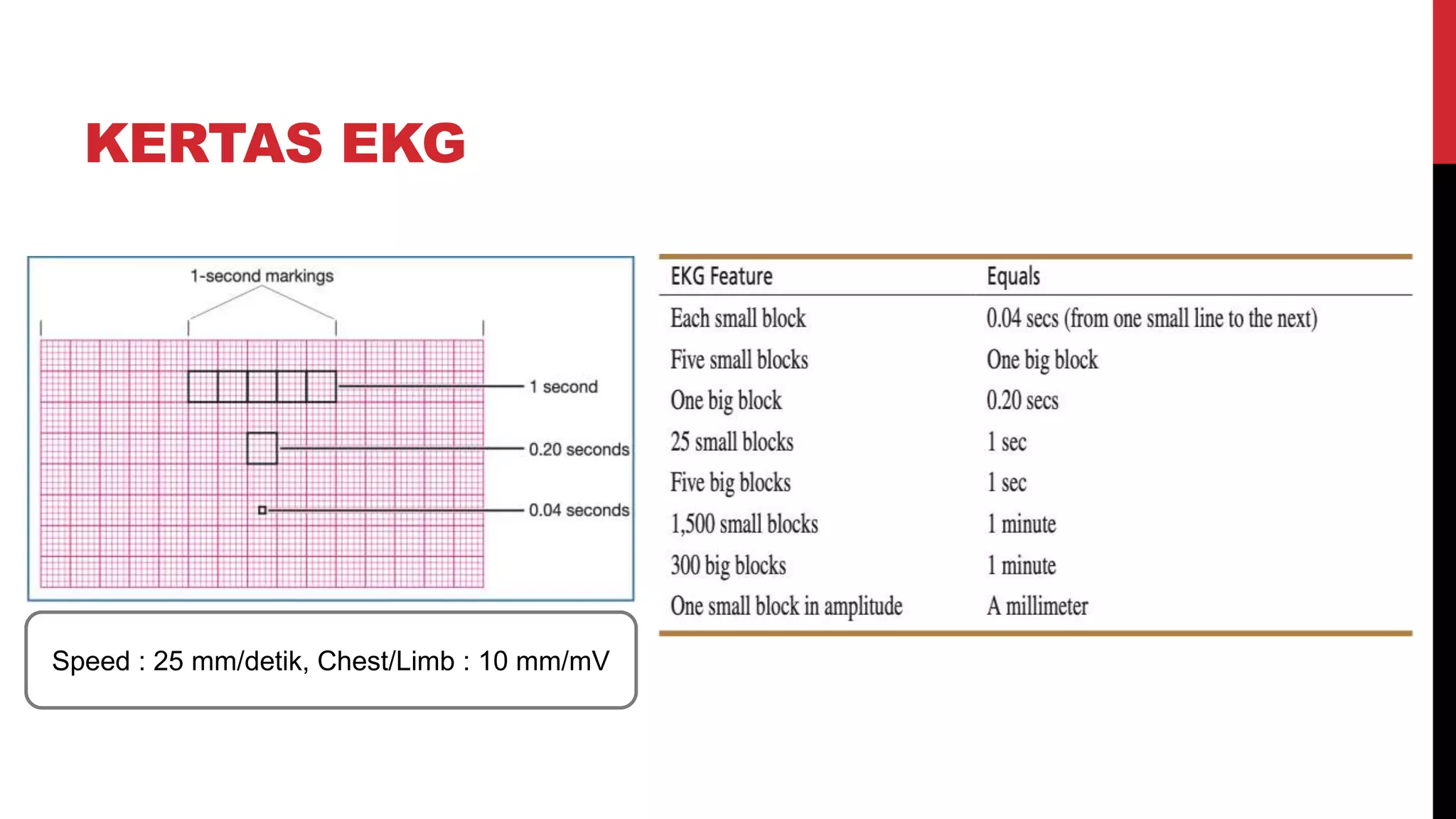 ECG Basic.pptx