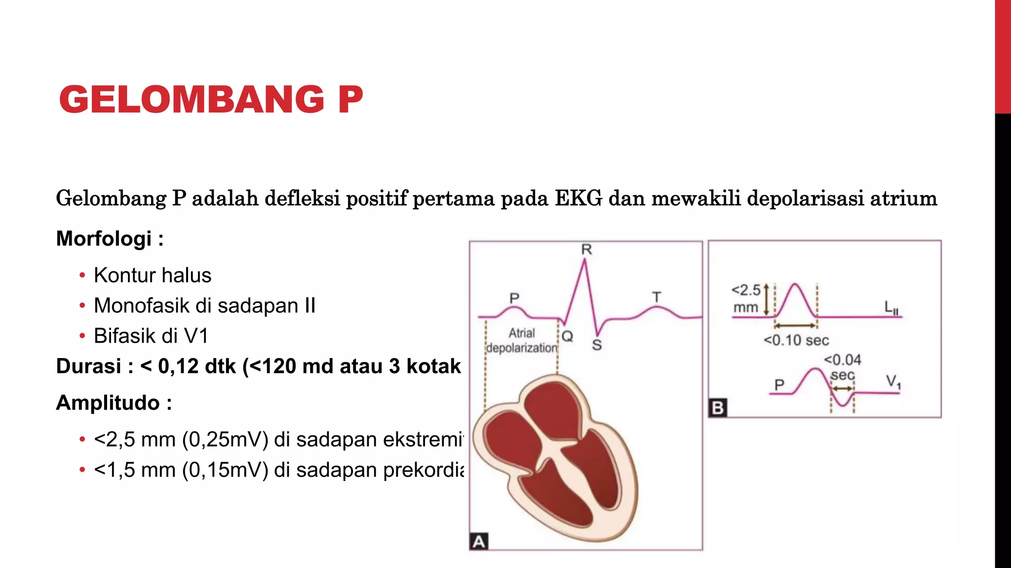 ECG Basic.pptx