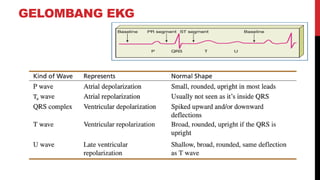 ECG Basic.pptx