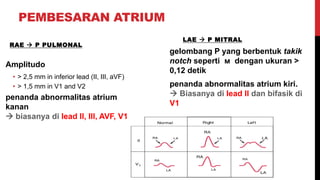 ECG Basic.pptx