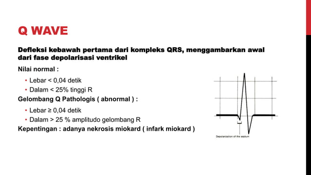 ECG Basic.pptx