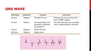 ECG Basic.pptx