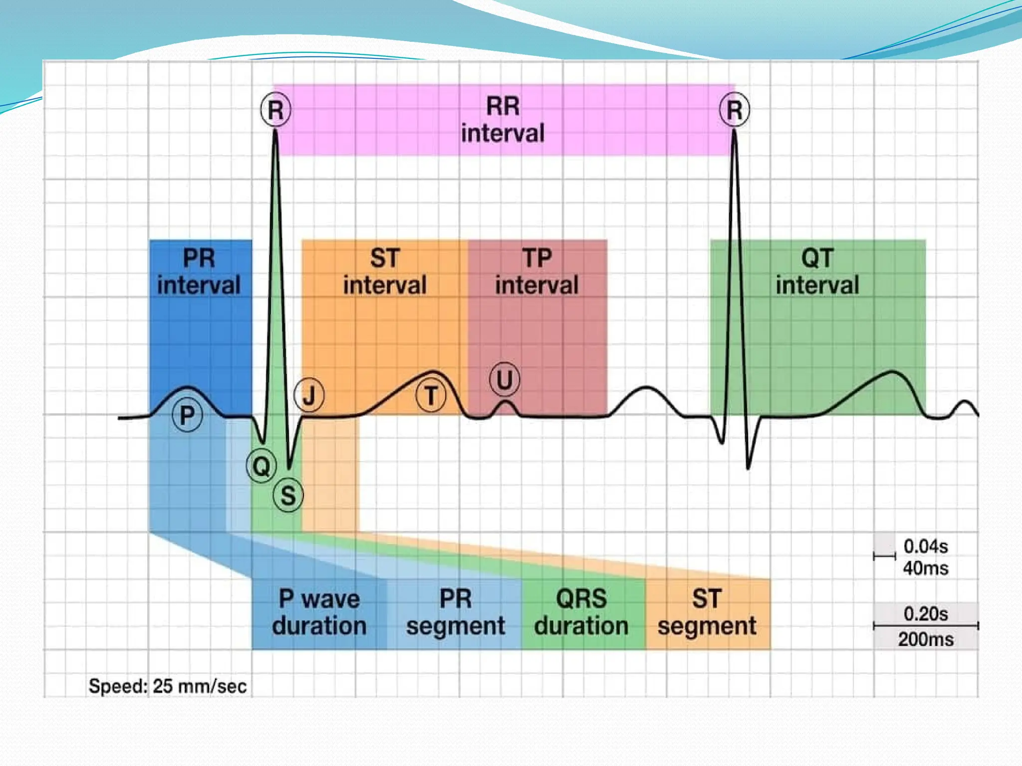 ECG Basic.pptx, Dr. M.A. Sobuj Hayat, MBBS, BCS, D-Card(BSMMU) | PPTX