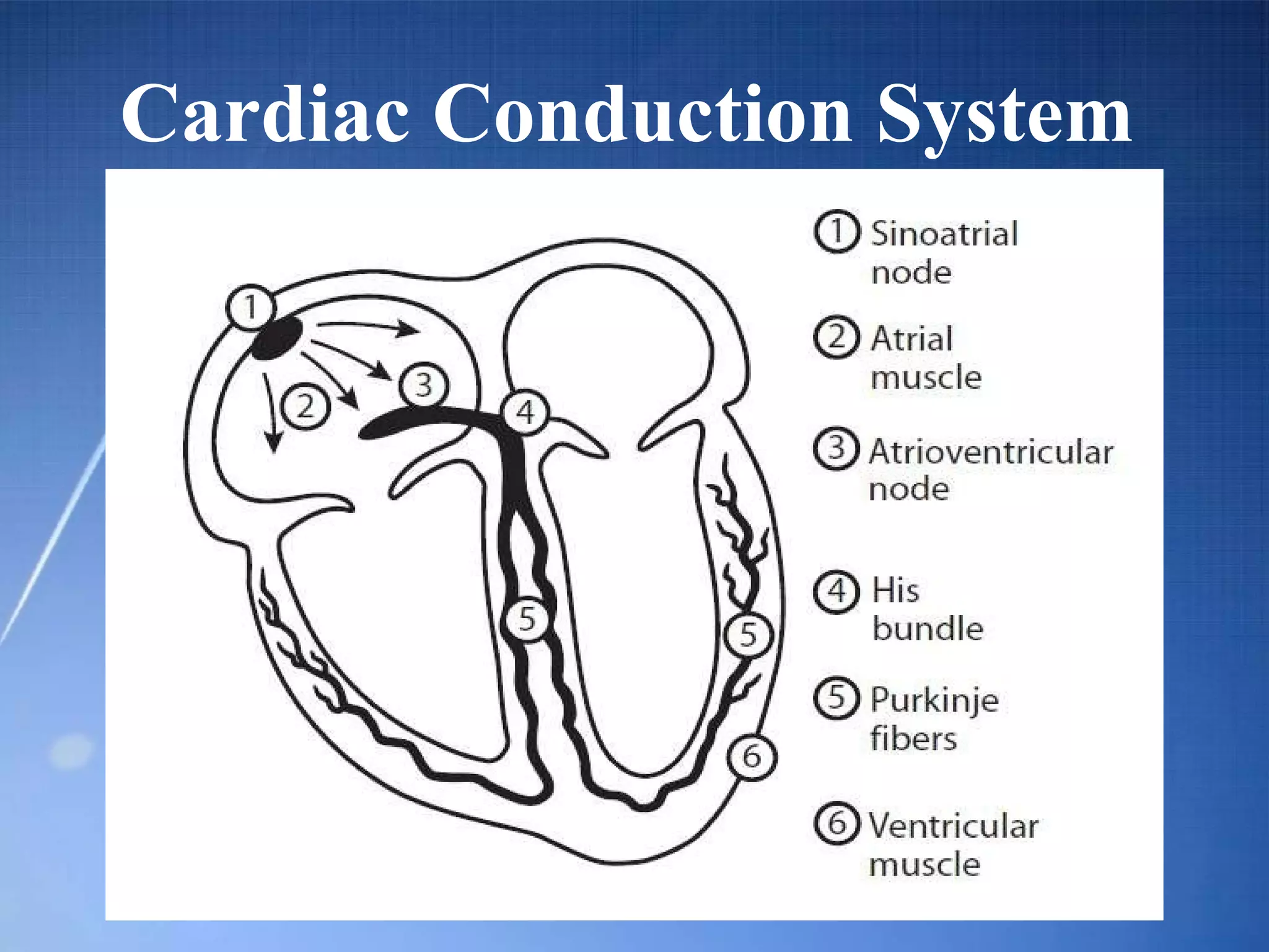Ecg basic guidelines | PPT