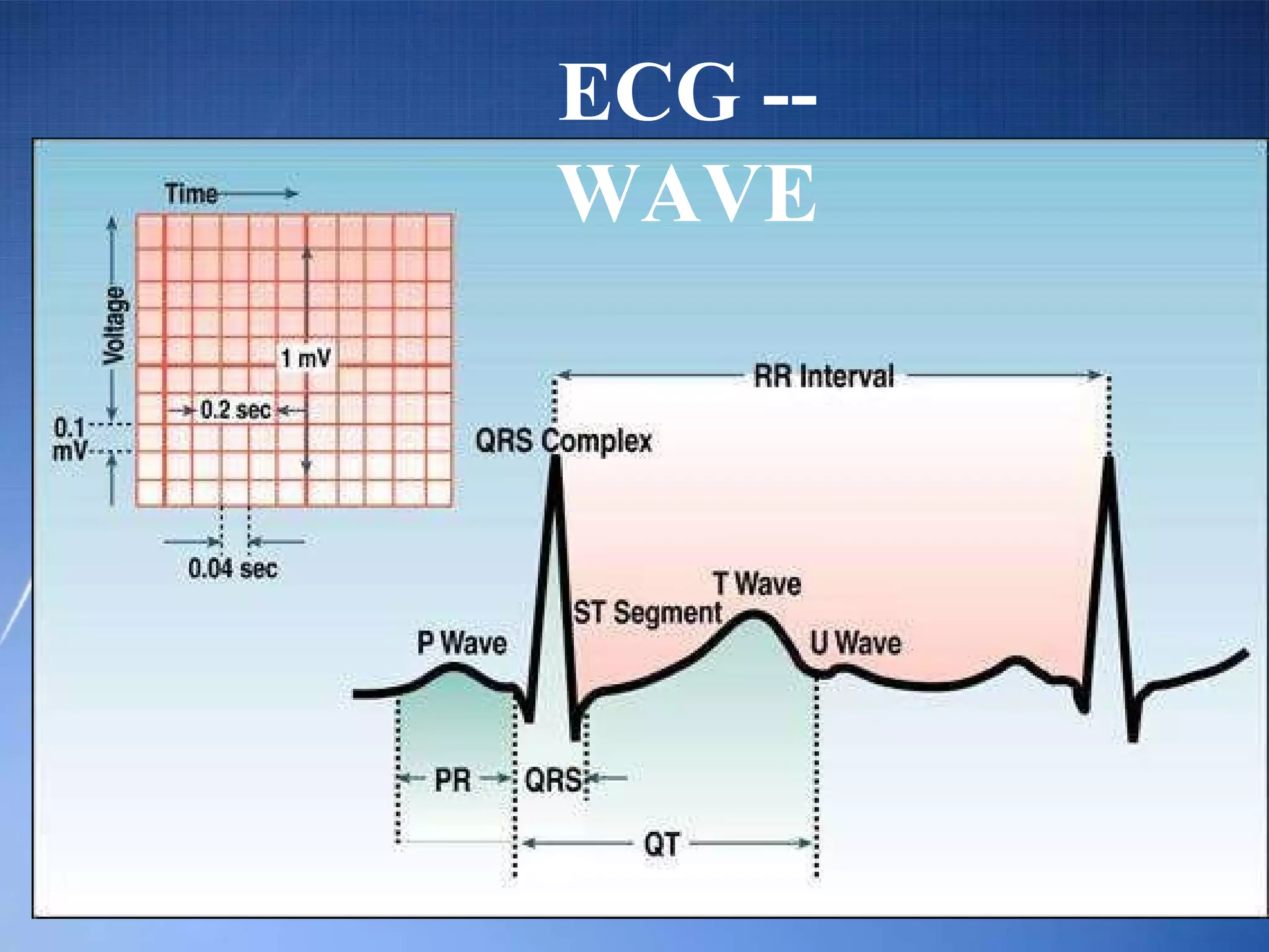 Ecg basic guidelines | PPT