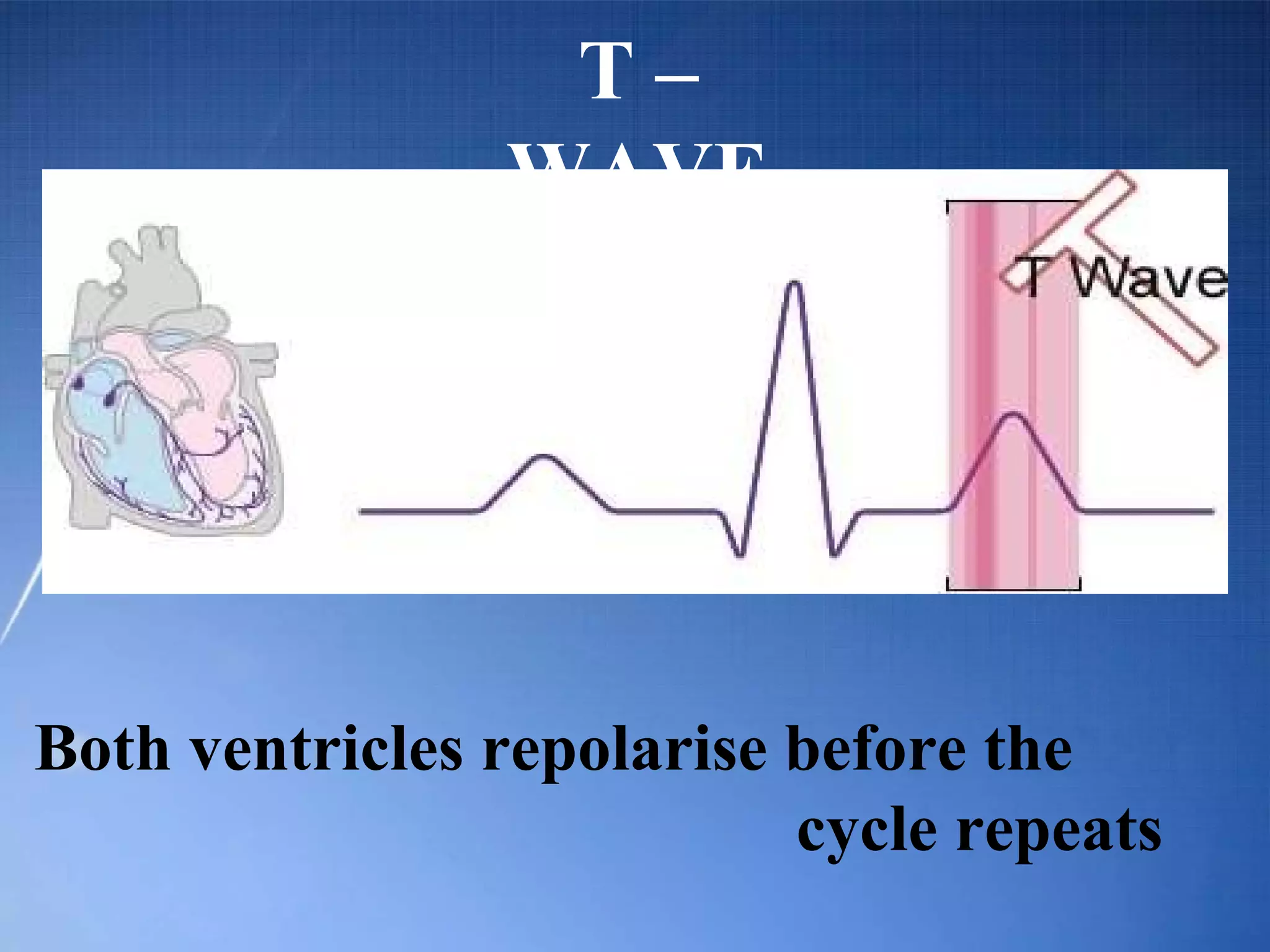 Ecg basic guidelines | PPT