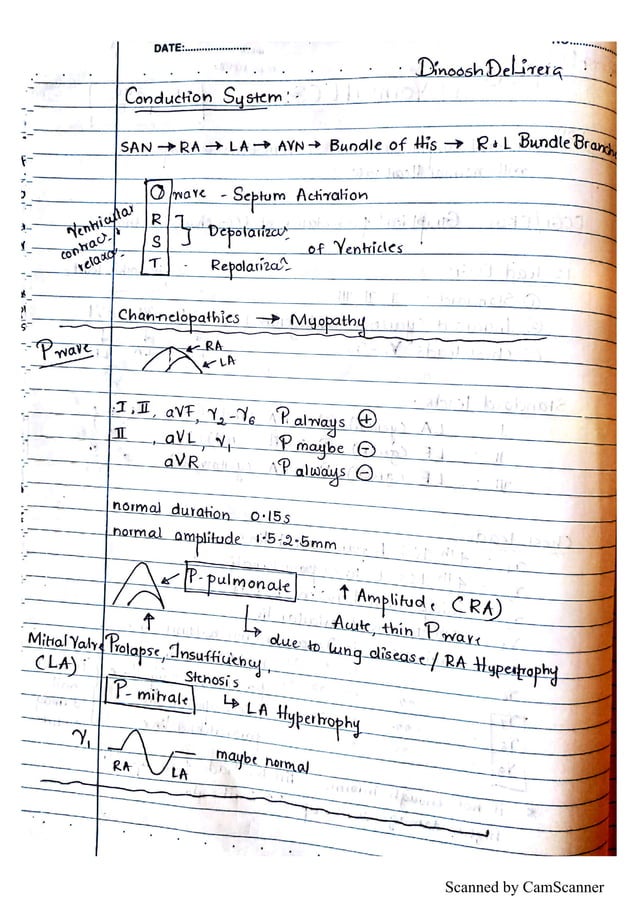 ECG Basics | PDF
