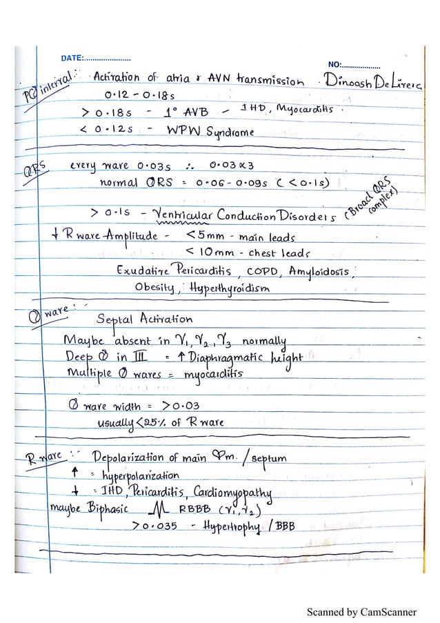 ECG Basics | PDF