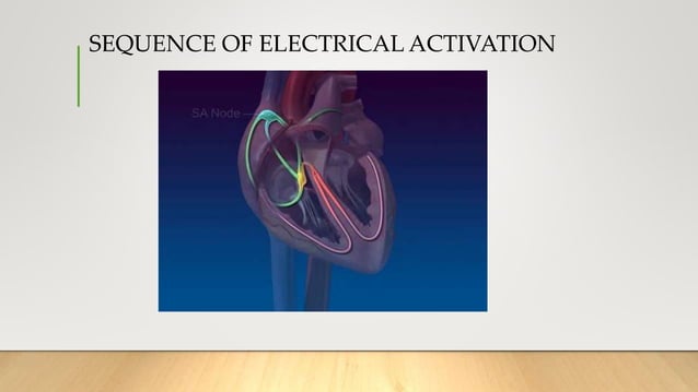 Ecg basics | PPTX | Heart and Cardiovascular Diseases | Diseases and ...