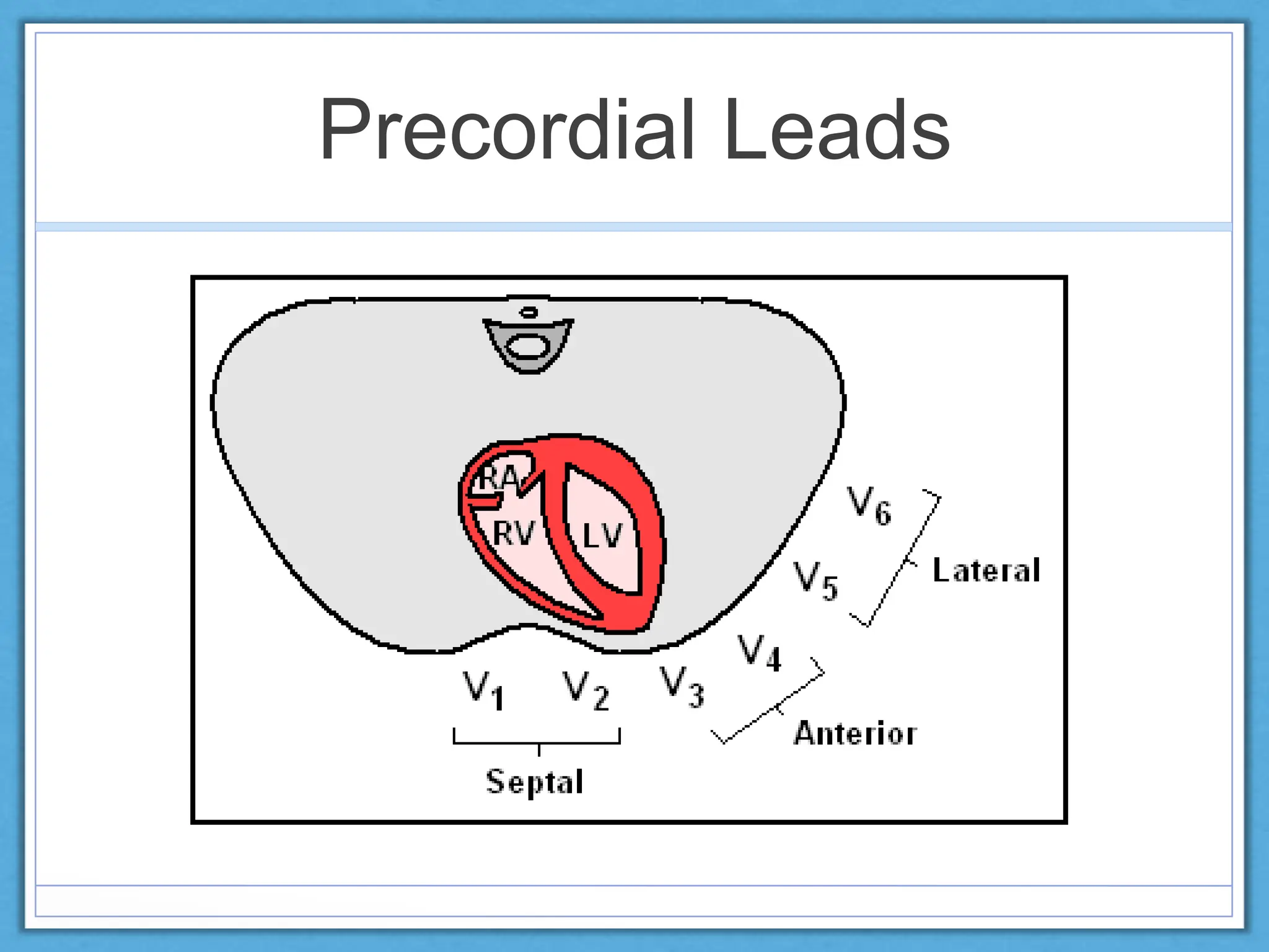 ECG Basics.pptx