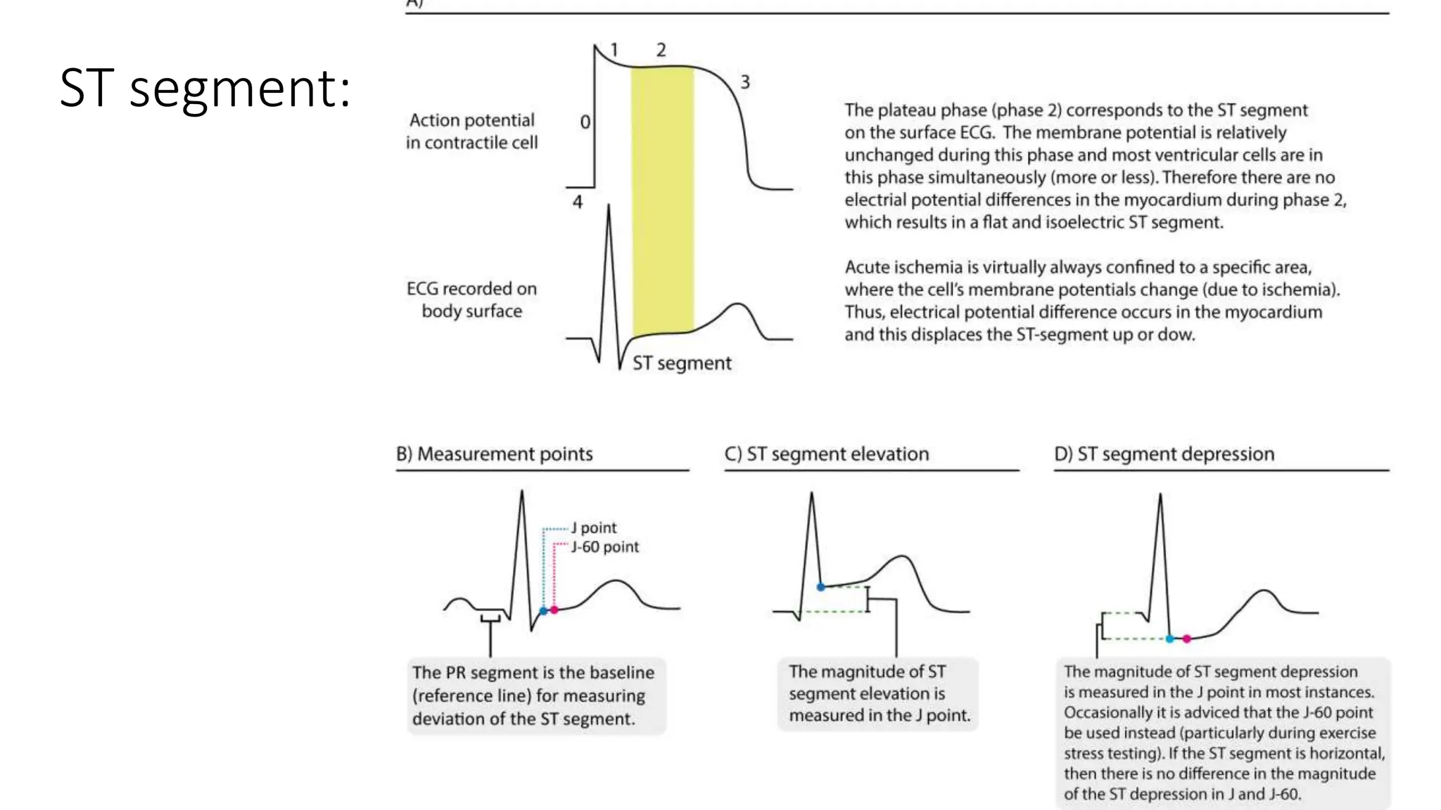 ecg basics for physiotherapy students reference purpose | PPTX
