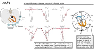 ecg basics for physiotherapy students reference purpose | PPTX