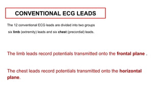 ECG basics powerpoint presentation slides | PPTX
