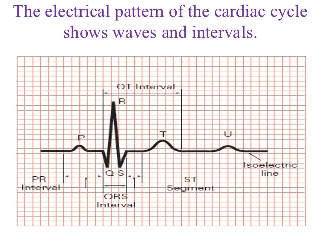 Ecg basics 1