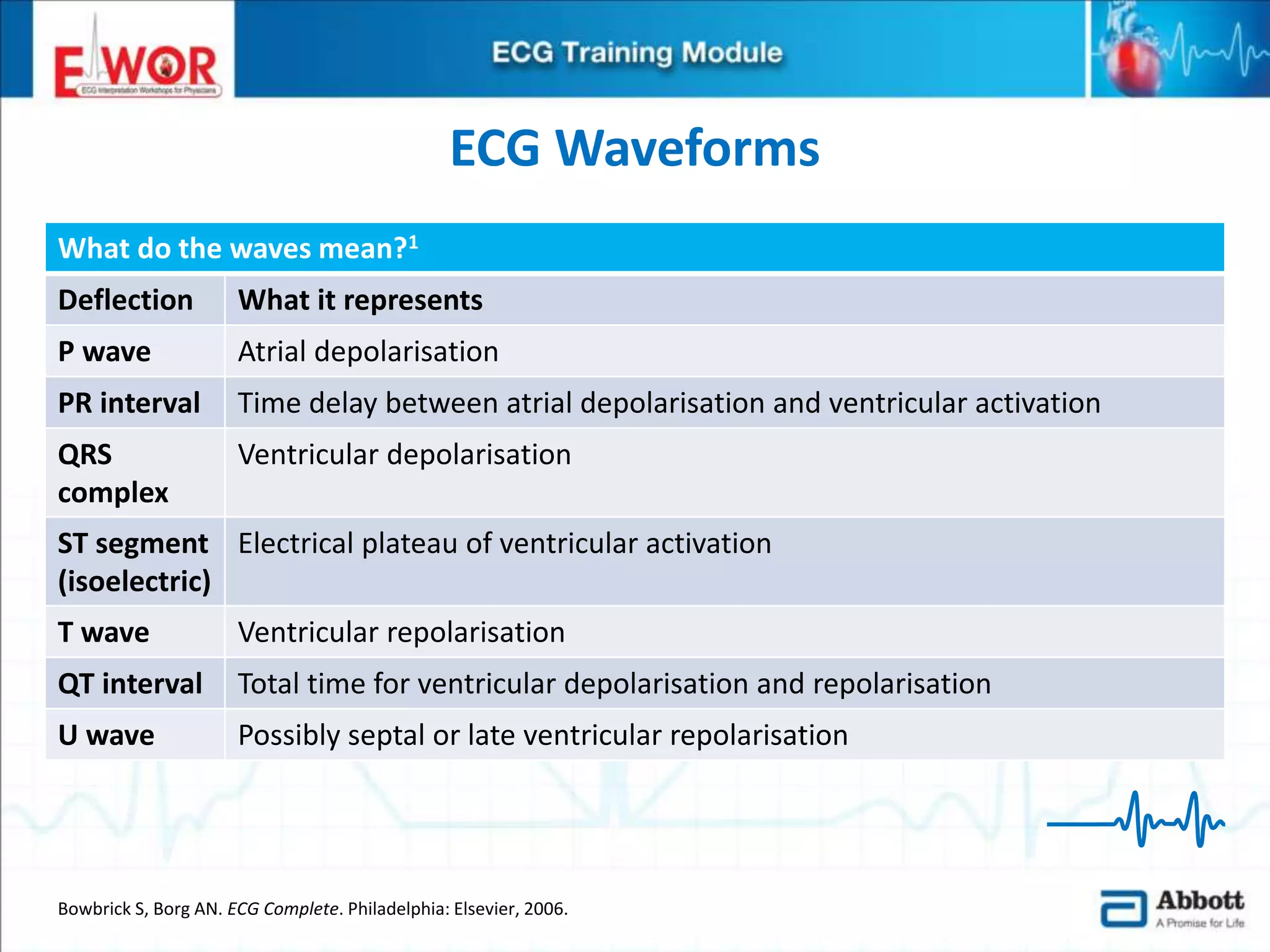 Ecg basics and interpretation | PPTX
