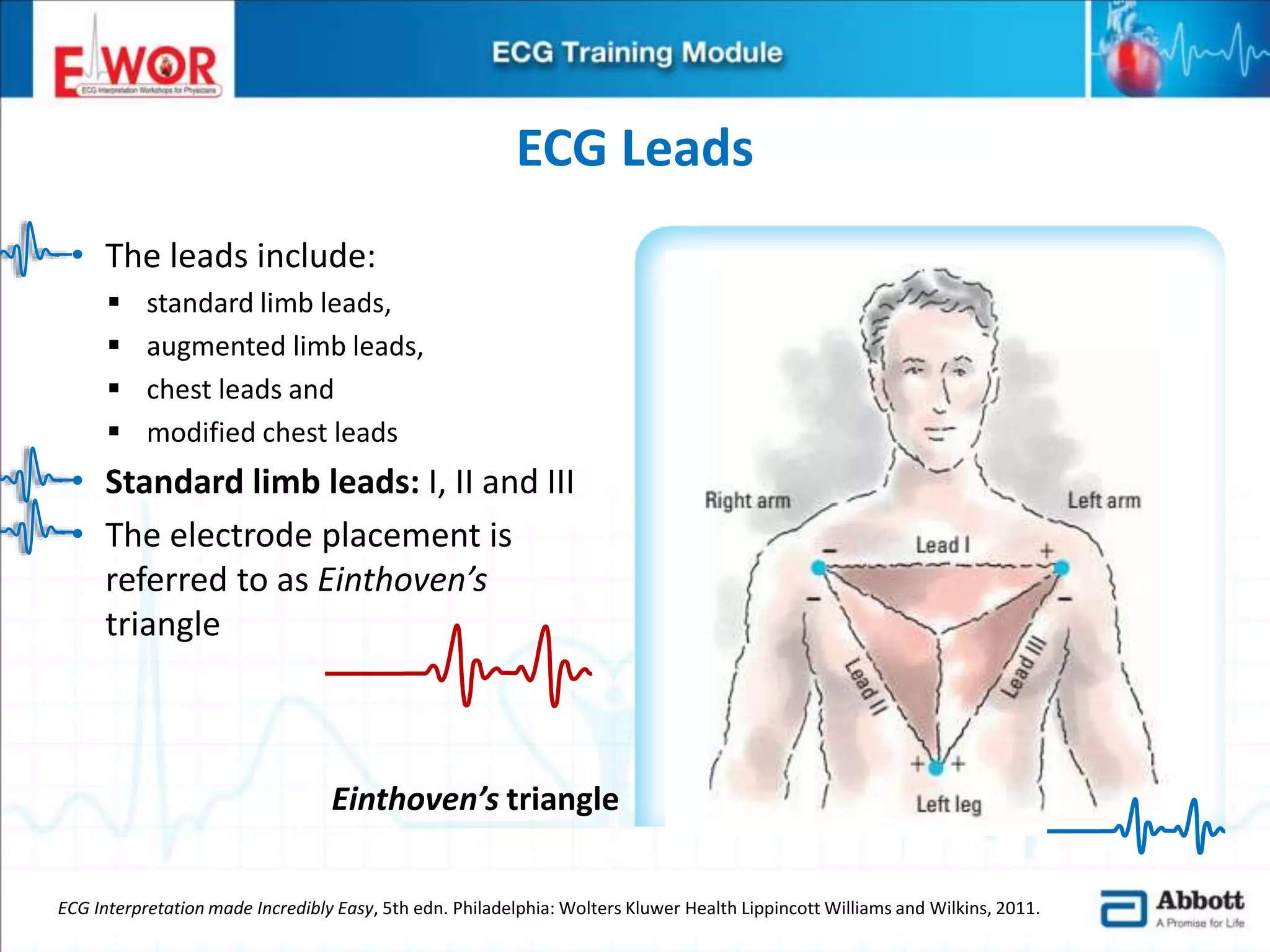 Ecg basics and interpretation | PPTX