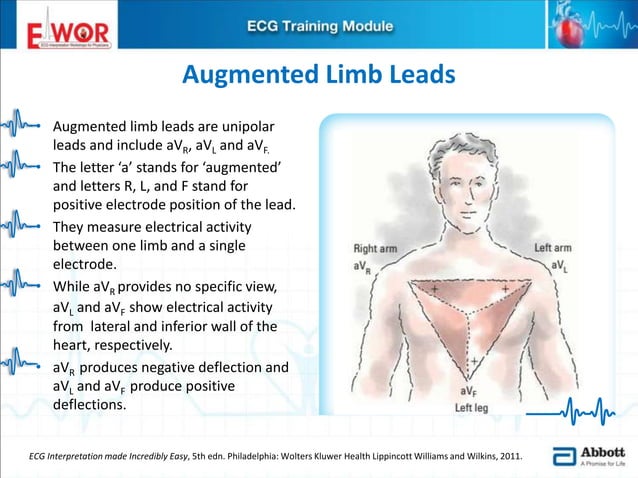 Ecg basics and interpretation | PPTX